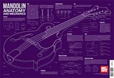 Mandolin Anatomy And Mechanics Wall Chart - Mandolin - Stepnote Aps